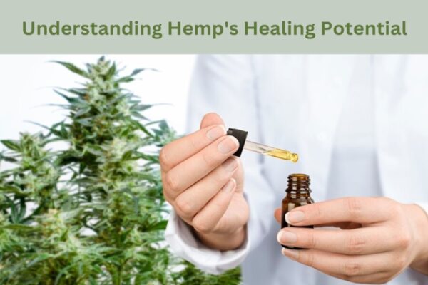 Understanding Hemp’s Healing Potential: A Comprehensive Guide - Herb ...